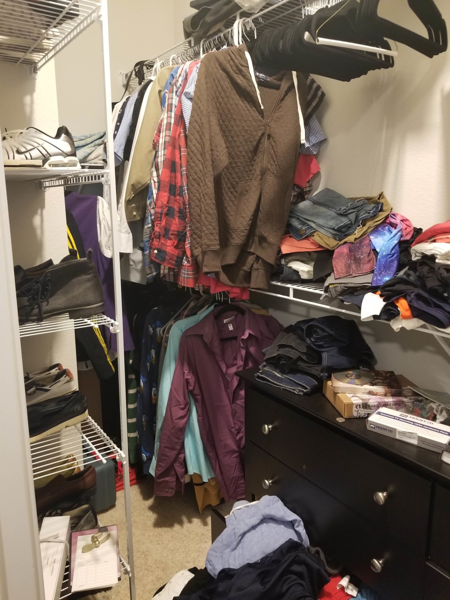 Purge Monsters finds a place for everything - Lifestyle Media