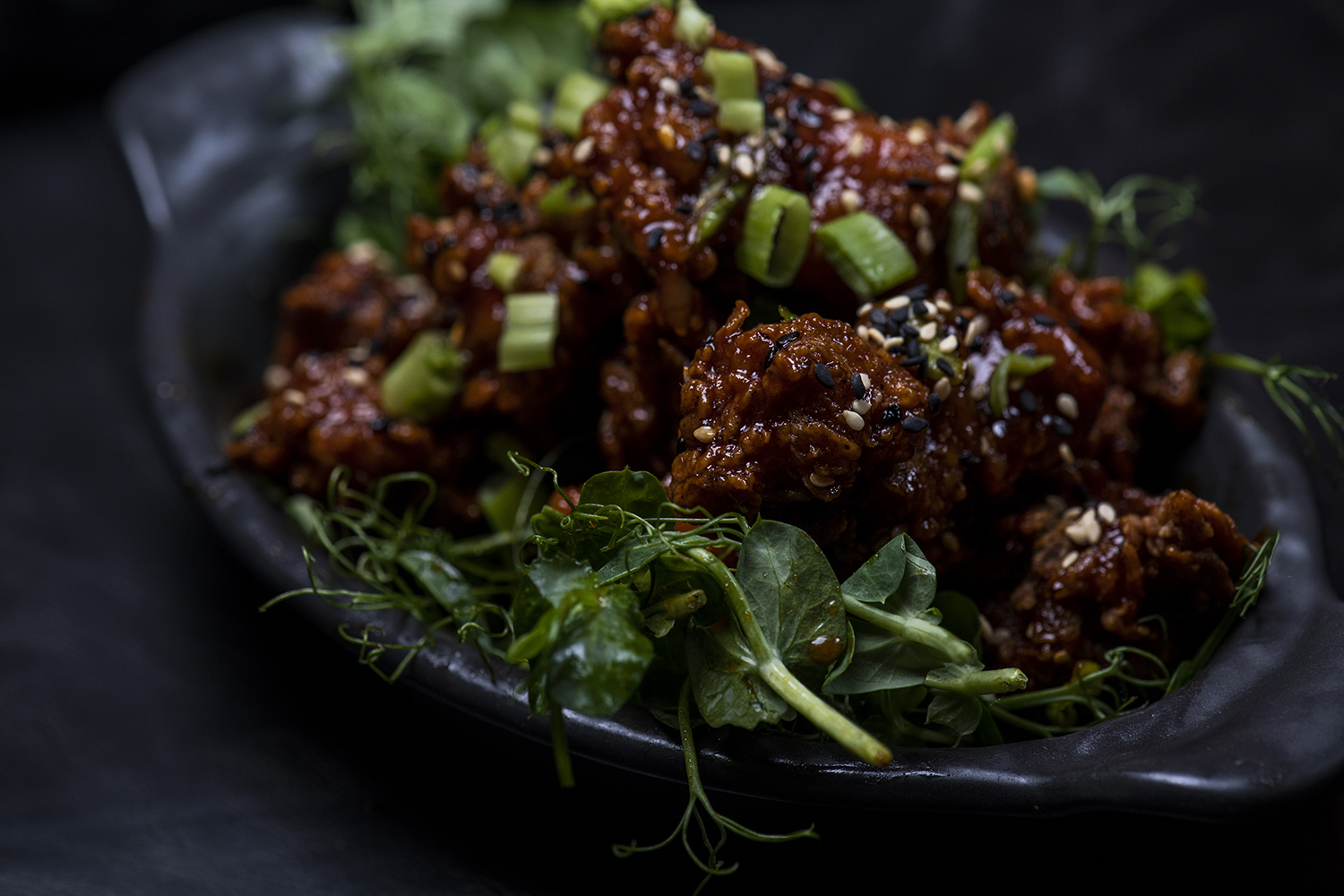 5 Things to Know About: Warren | Lifestyle Media Group