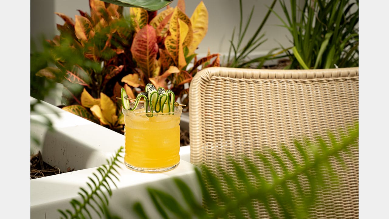 Higher Ground at Arlo Wynwood Expands Offerings | Lifestyle Media Group