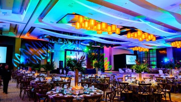 Party Planning 101 | Lifestyle Media Group