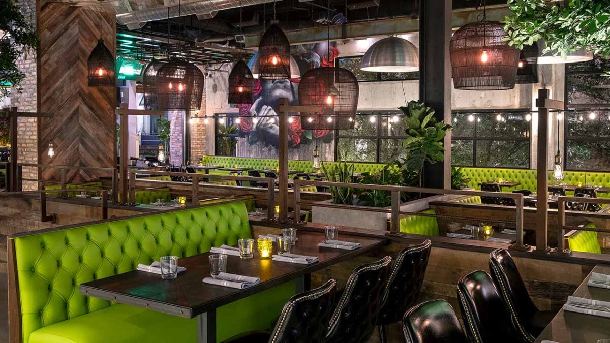 El Camino Plans for December Opening in Boca Raton | Lifestyle Media Group