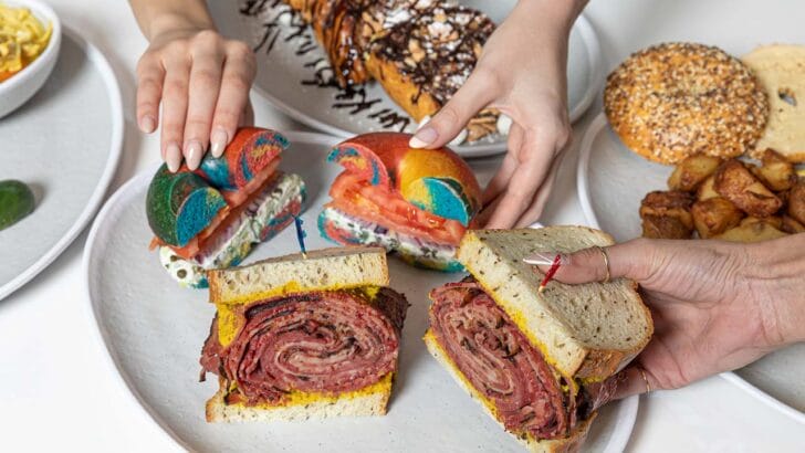 Mitch’s Downtown Bagel Cafe Expands to Hallandale Beach | Lifestyle ...