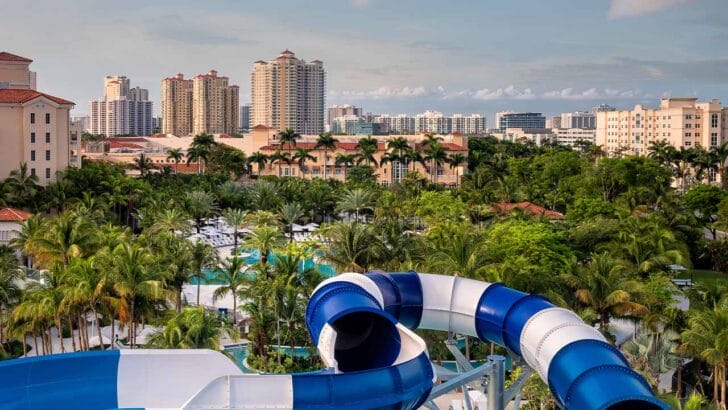 JW Marriott Miami Turnberry Resort & Spa Celebrates Five Years of Tidal ...